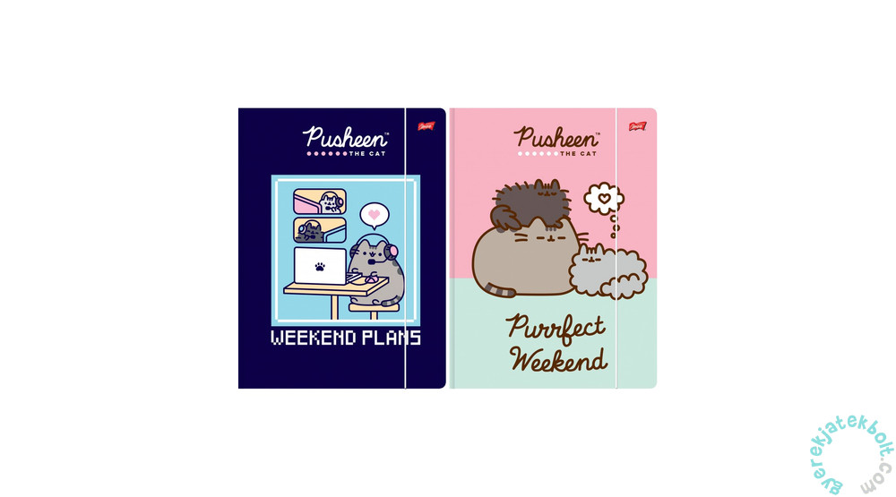 Pusheen Cat A/4 gumis mappa - kétféle - Gumis mappa